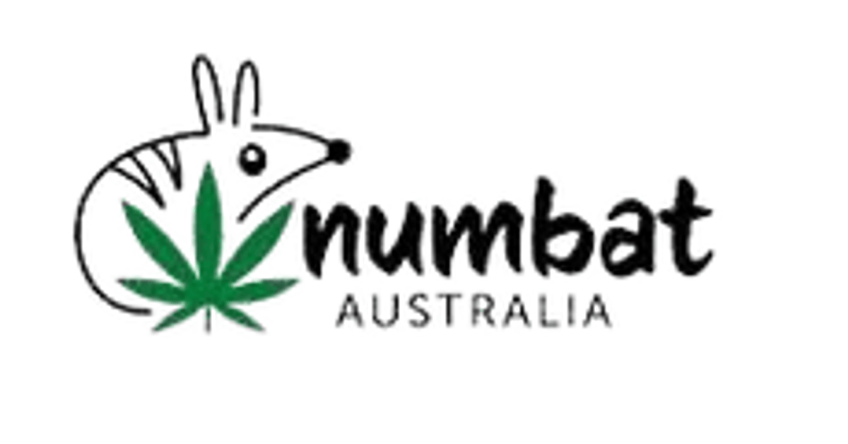 Numbat Australia